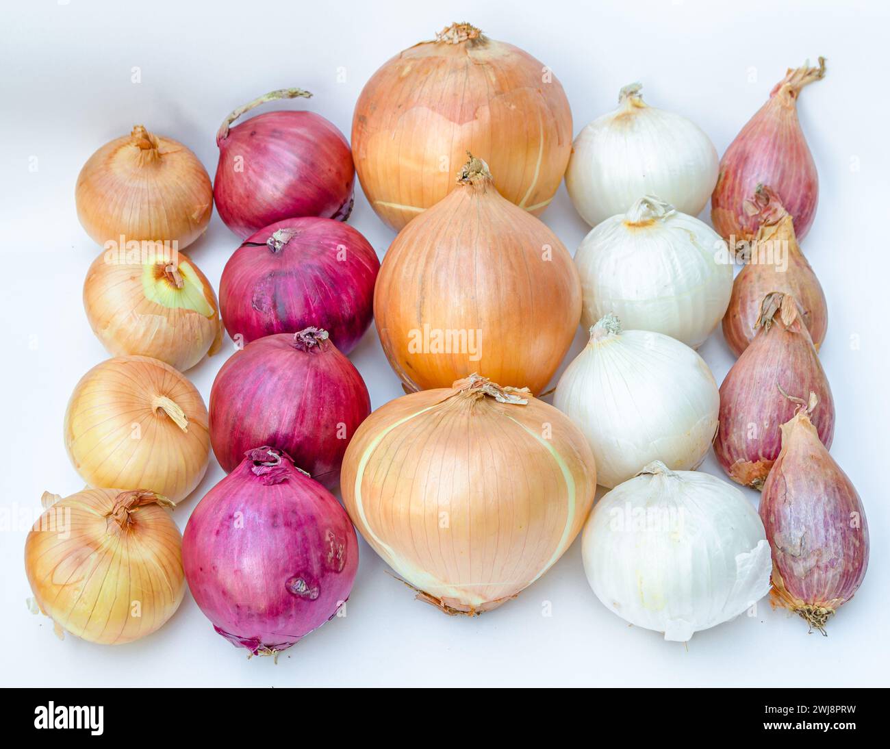 Assortment of various types of onion on white background Stock Photo ...