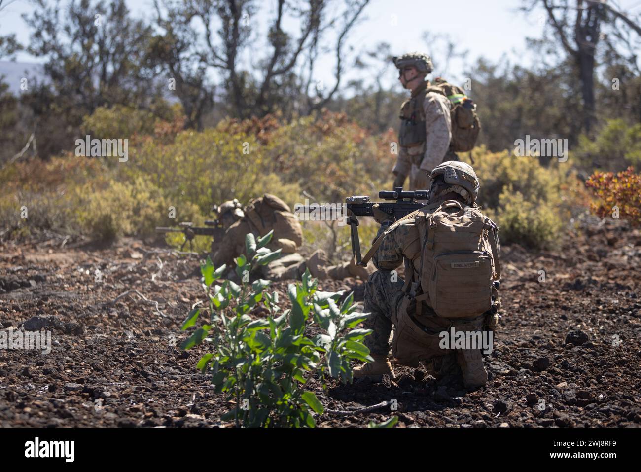 U.S. Marines with 3d Littoral Combat Team, 3d Marine Littoral Regiment ...