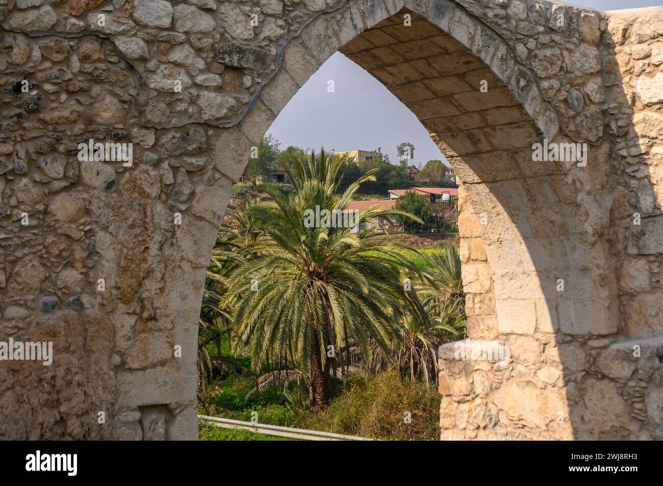 view of the date grove from the window of the old castle Stock Photo ...