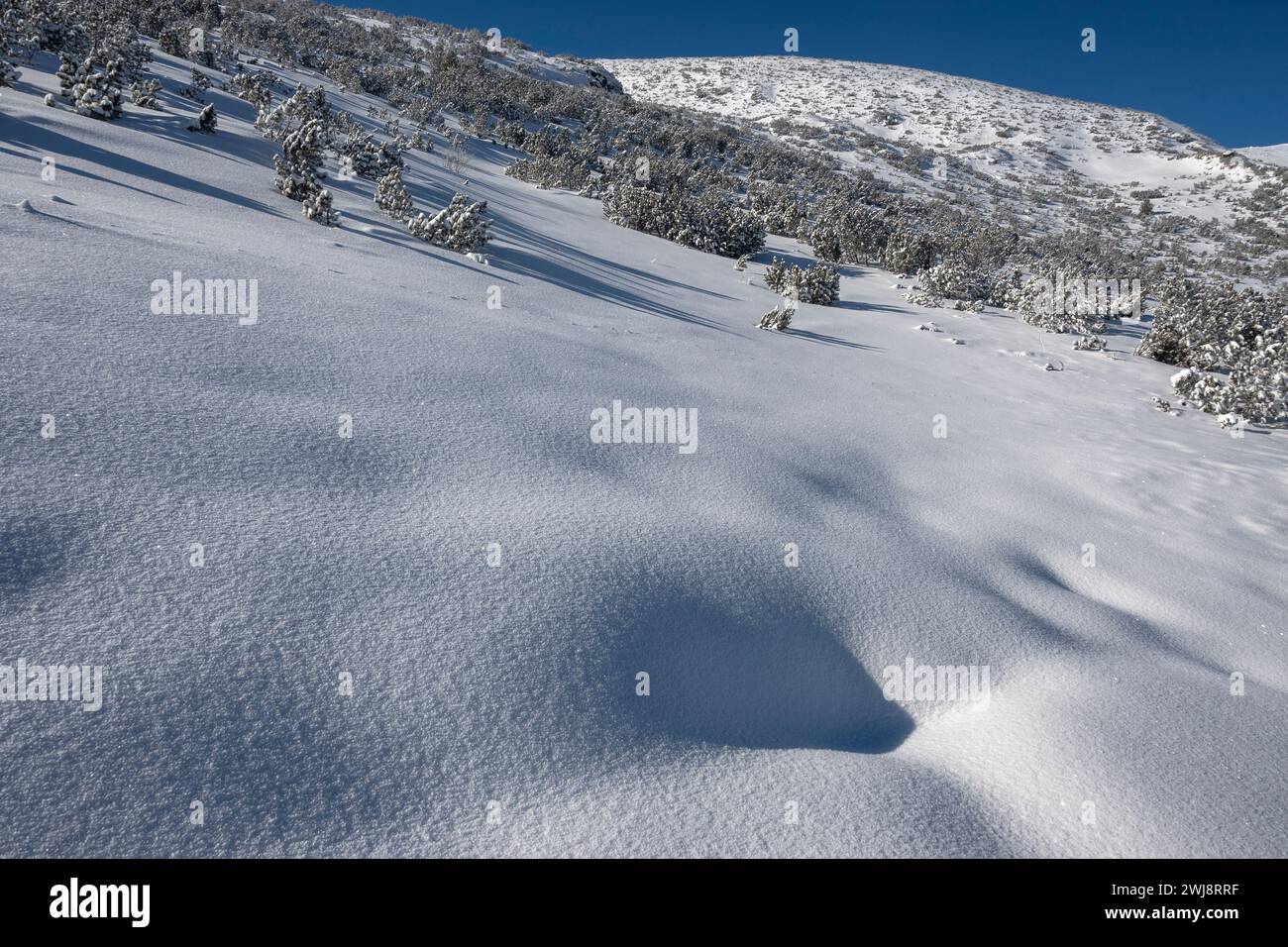 Amazing Winter Landscape of Rila mountain near Musala peak, Bulgaria ...