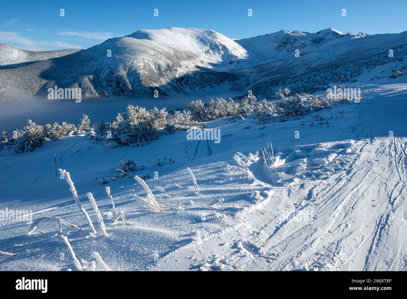 Amazing Winter Landscape of Rila mountain near Musala peak, Bulgaria ...