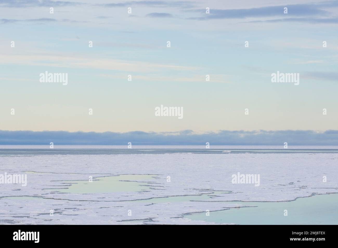 the process of fall freeze up in the Beaufort Sea Arctic Ocean off the ...