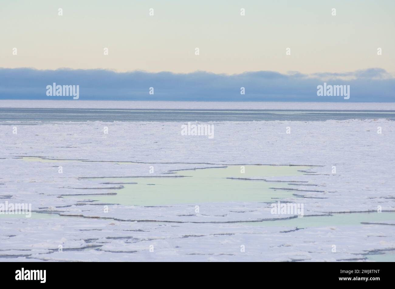 the process of fall freeze up in the Beaufort Sea Arctic Ocean off the ...