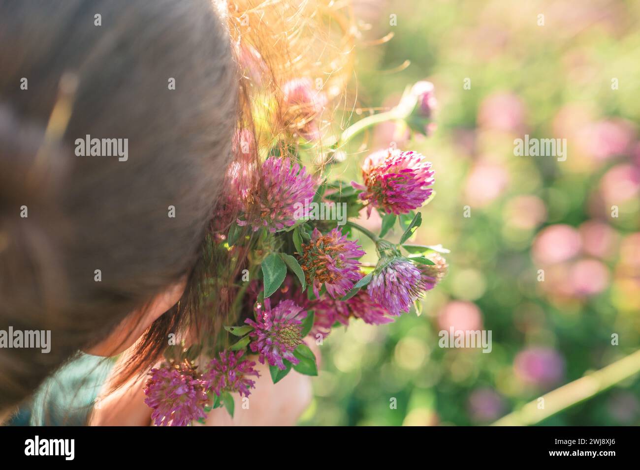 Clover harvesting hi-res stock photography and images - Alamy