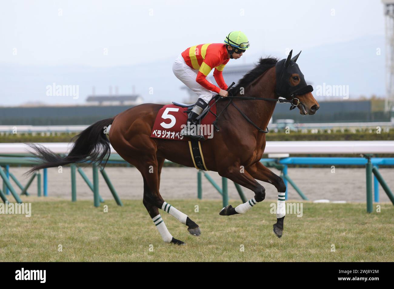 THE KYOTO KINEN Bellagio Opera/Kazuo Yokoyama Jockey Kyoto Racecourse ...