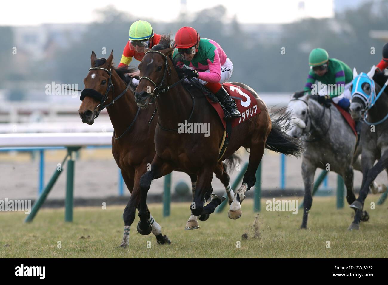 THE KYOTO KINEN Bellagio Opera/Kazuo Yokoyama Jockey Pradaria/Kenichi ...