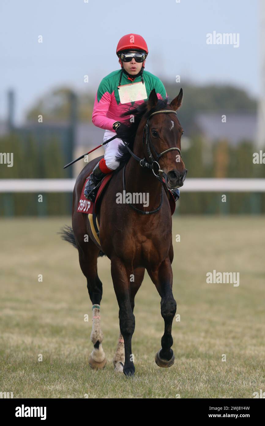 THE KYOTO KINEN Pradaria/Kenichi Ikezoe Jockey Kyoto Racecourse in ...