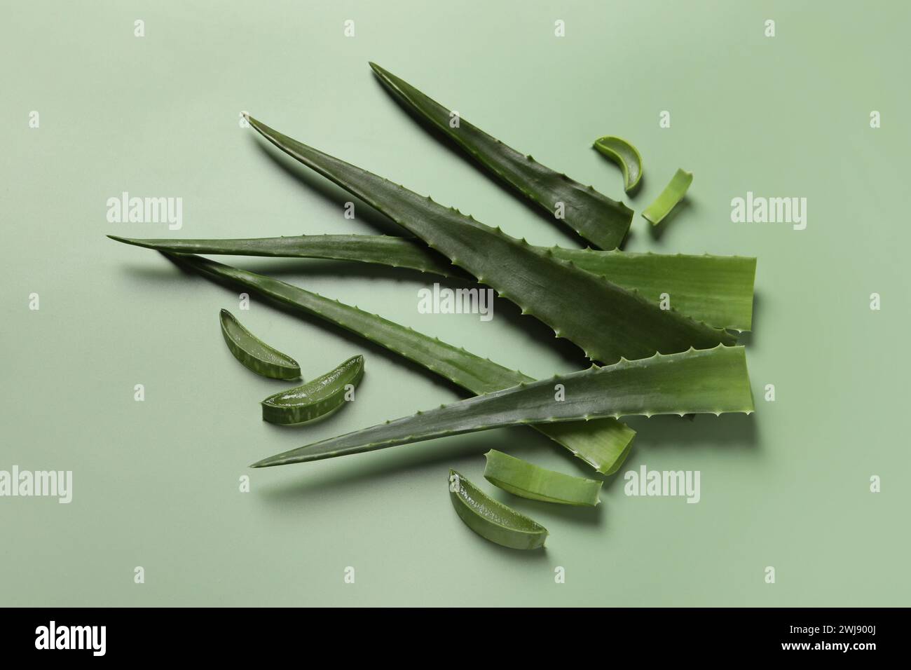 Cut aloe vera leaves on light green background, flat lay Stock Photo ...