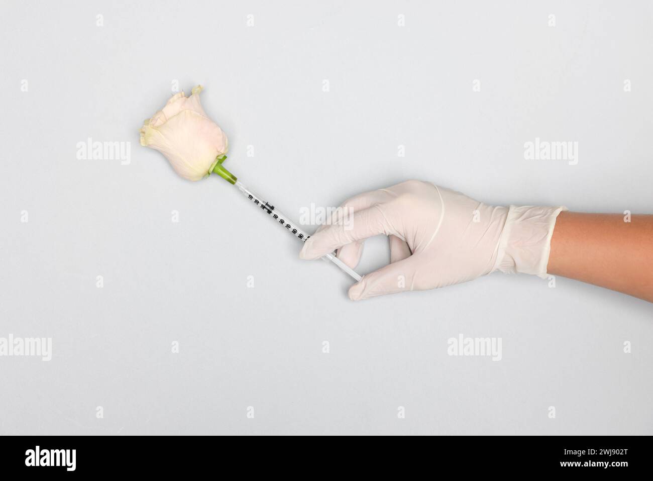 Doctor making injection to rose on light grey background, top view ...