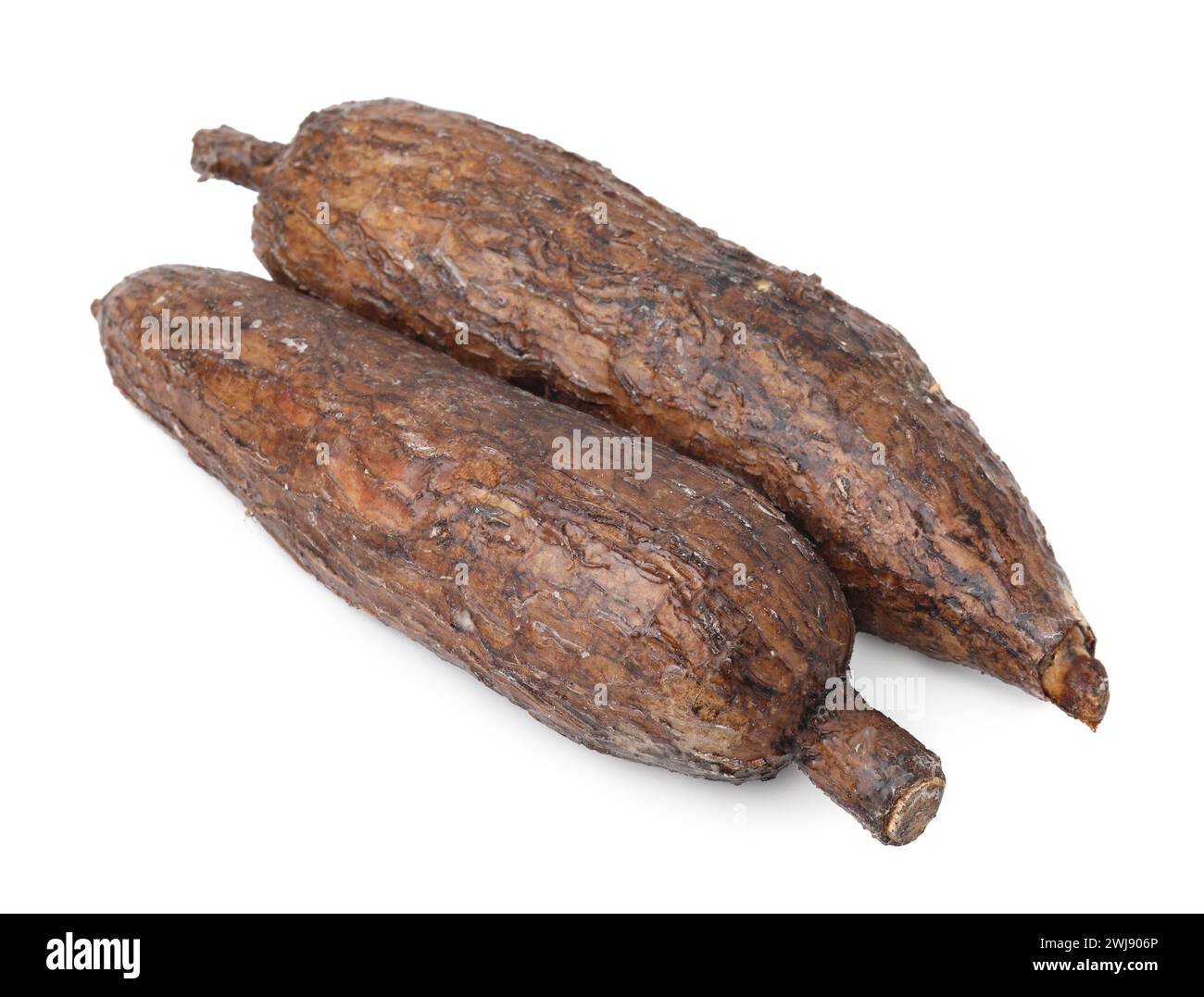 Two whole ripe cassava roots isolated on white Stock Photo - Alamy