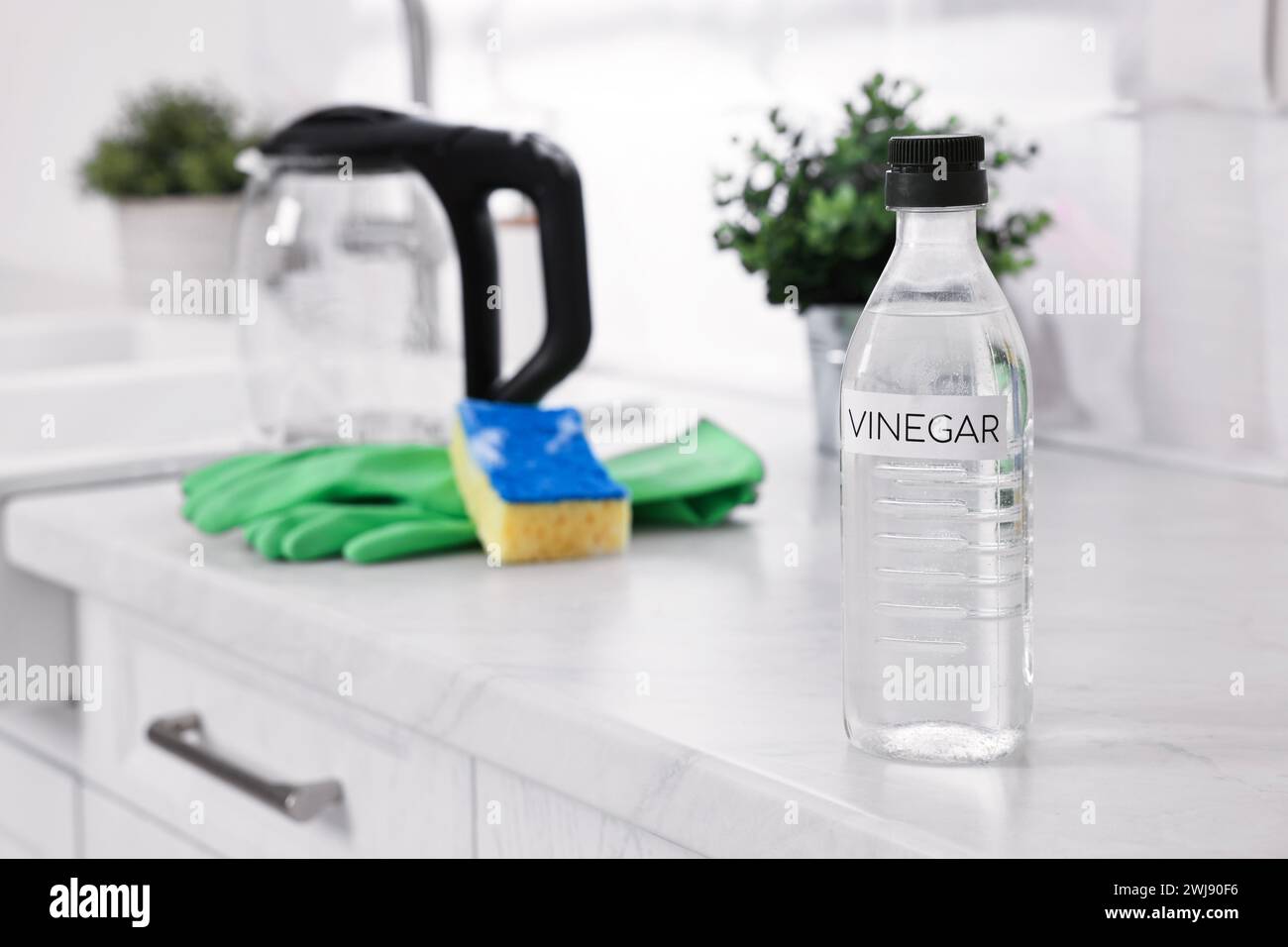Cleaning electric kettle. Bottle of vinegar on countertop in kitchen ...
