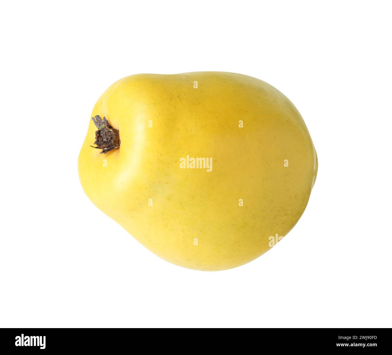 Delicious fresh ripe quince isolated on white Stock Photo - Alamy
