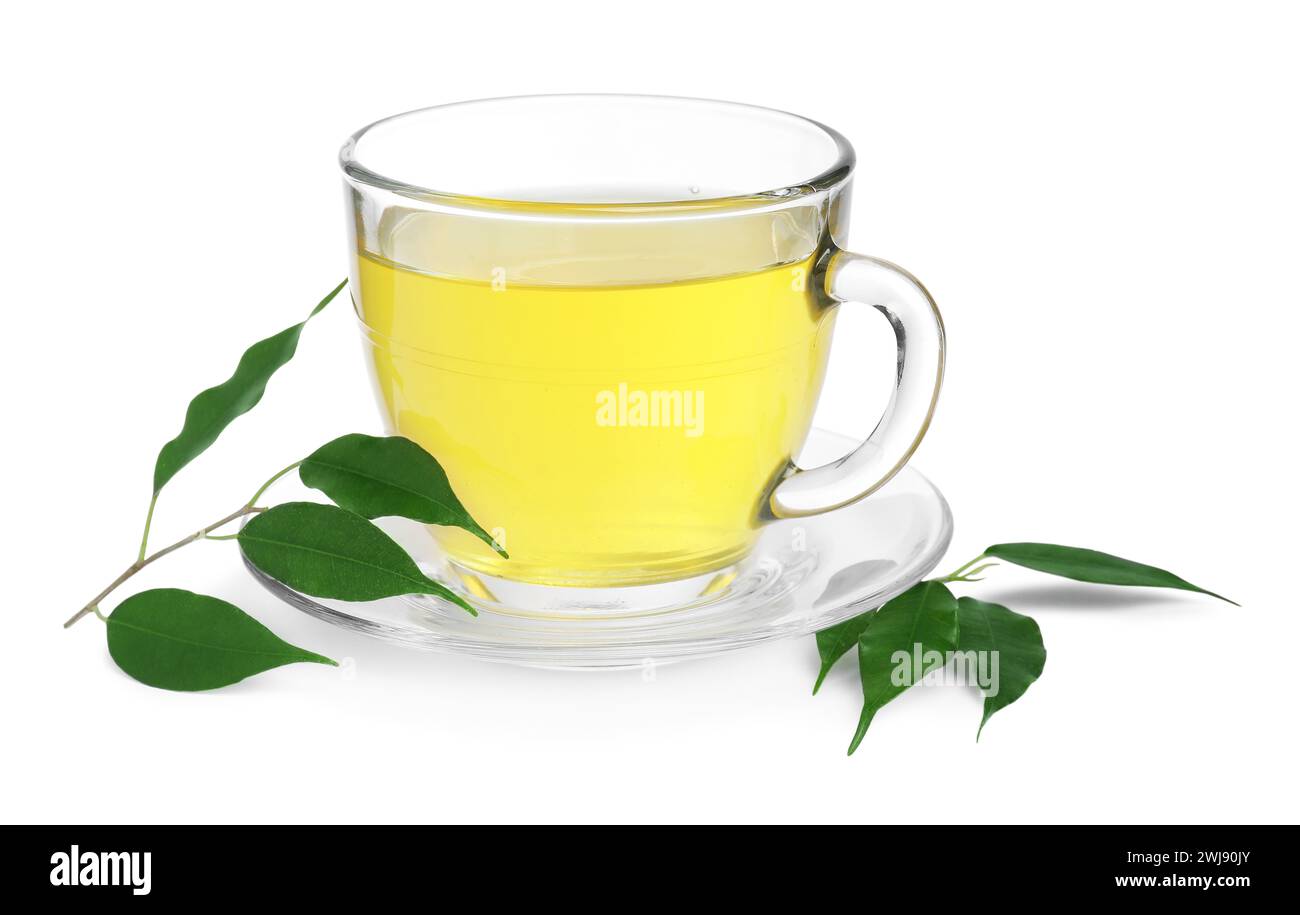 Fresh green tea in glass cup, leaves and saucer isolated on white Stock ...