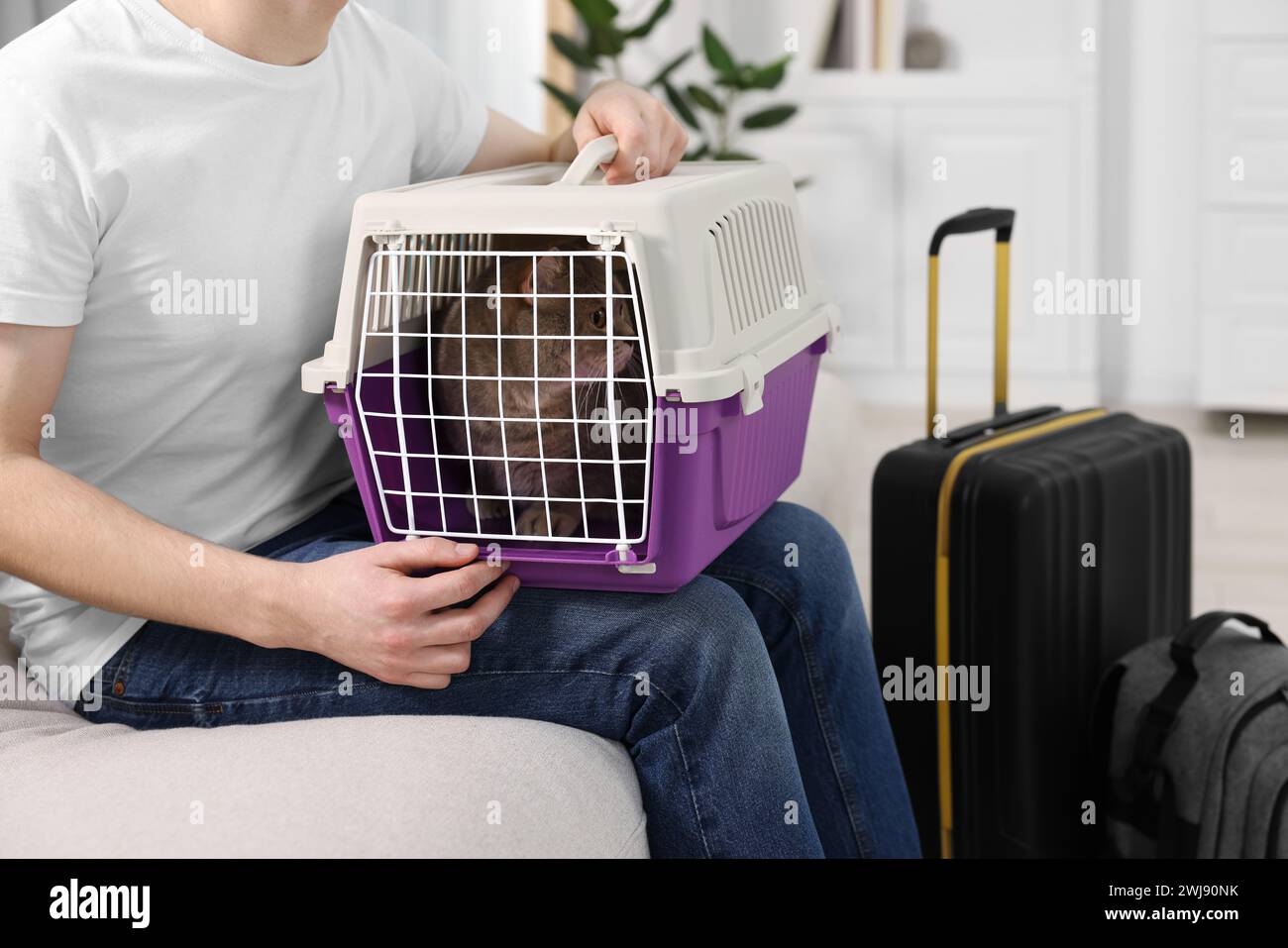 Travel with pet. Man holding carrier with cute cat on sofa at home ...