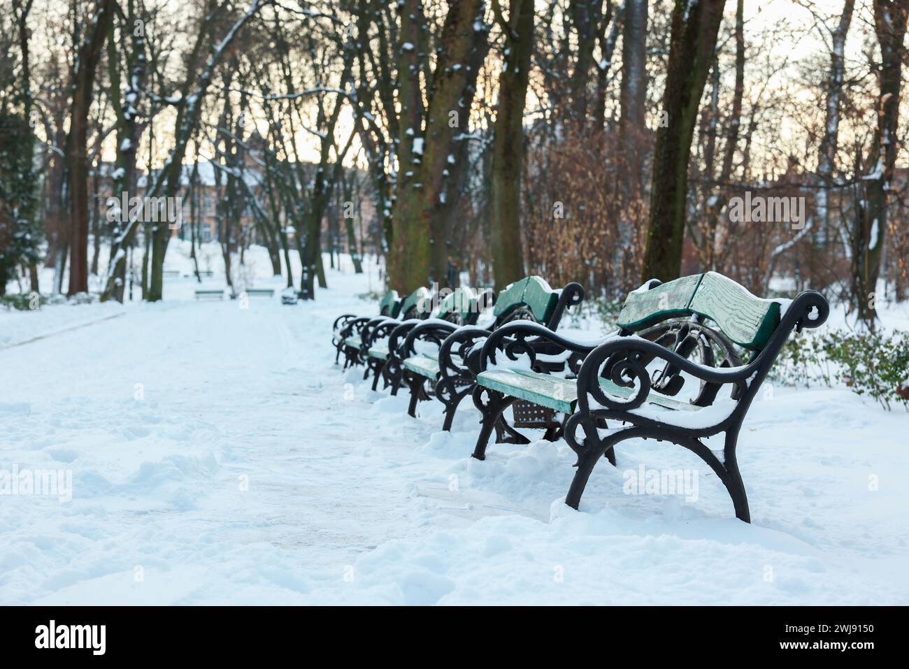 Green benches and trees in snowy park Stock Photo - Alamy