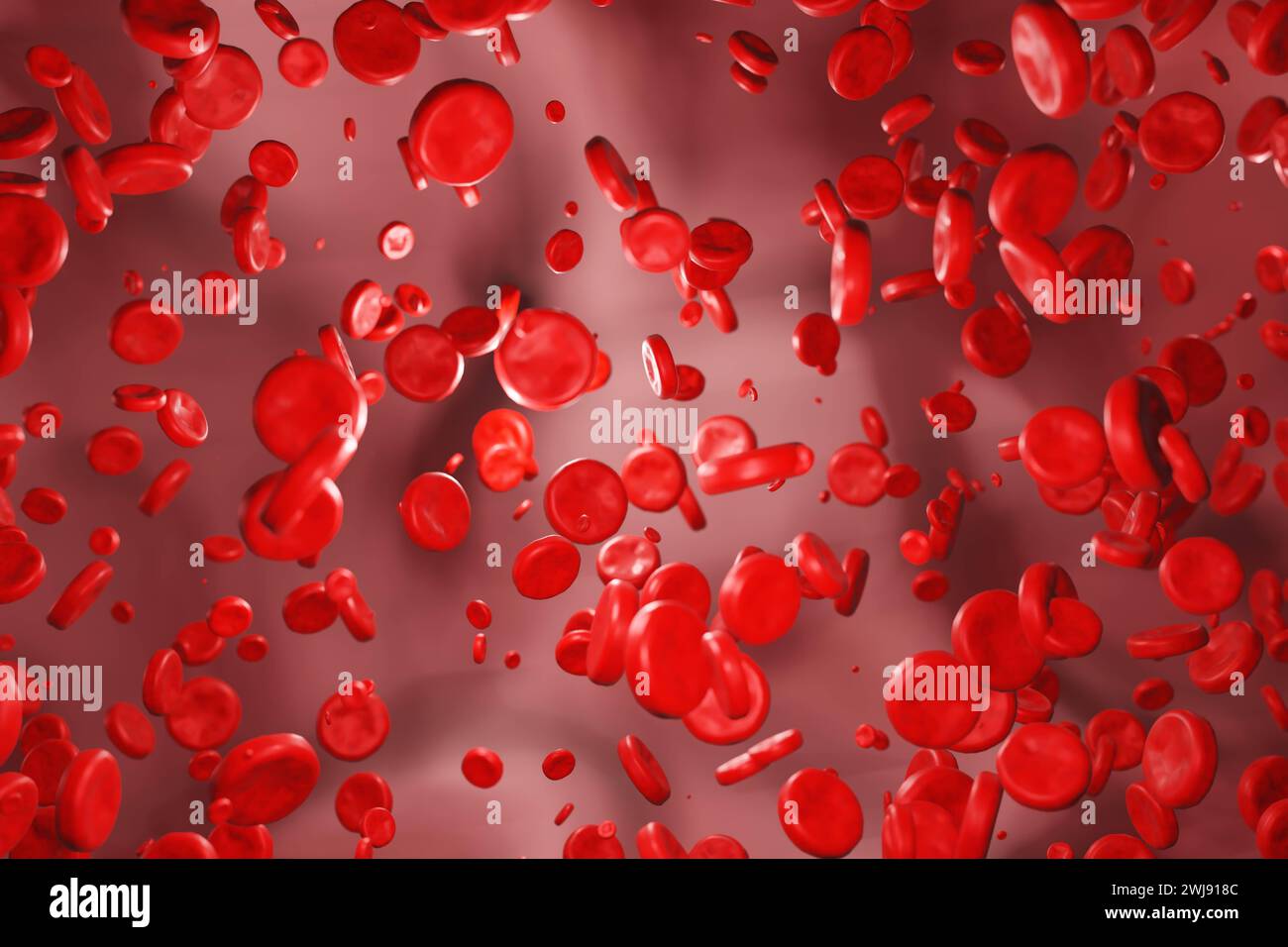 Blood cells flowing through the vein. Blood cells flowing through the ...
