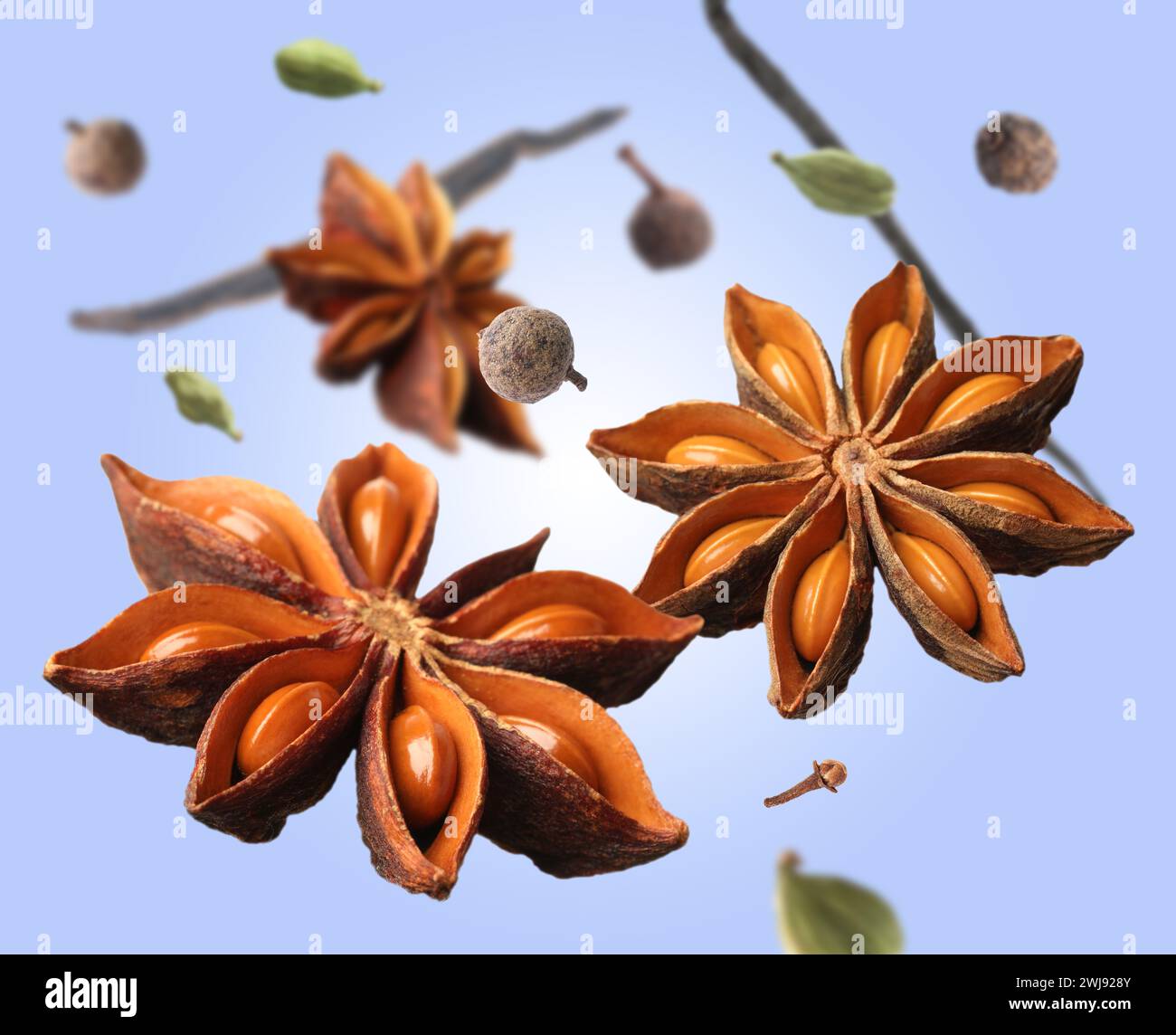 Different aromatic spices falling on light blue background Stock Photo ...