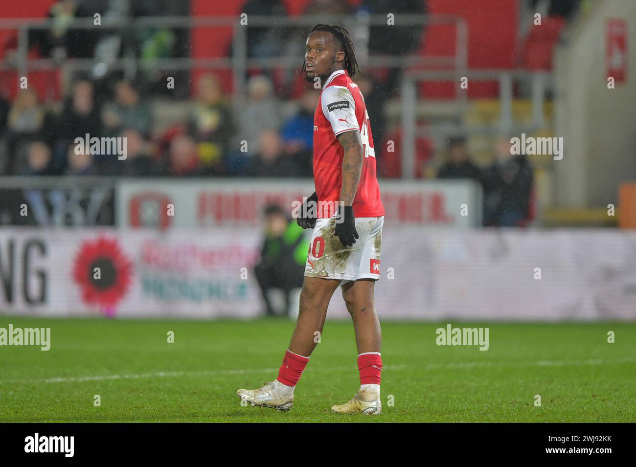 Peter kiso hi-res stock photography and images - Alamy