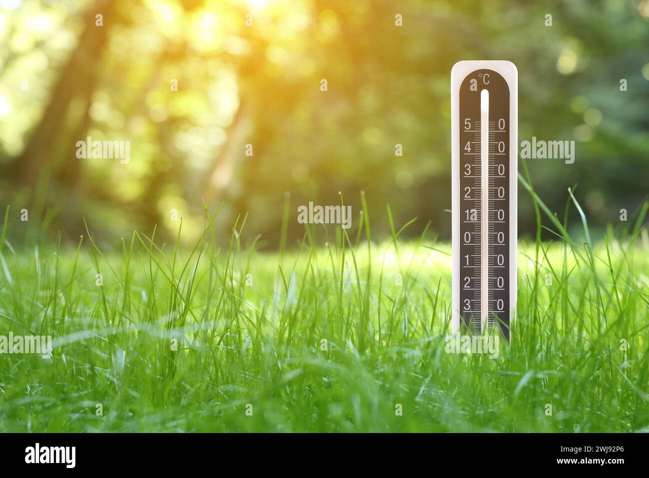 Thermometer in green grass outdoors. Temperature in spring Stock Photo ...