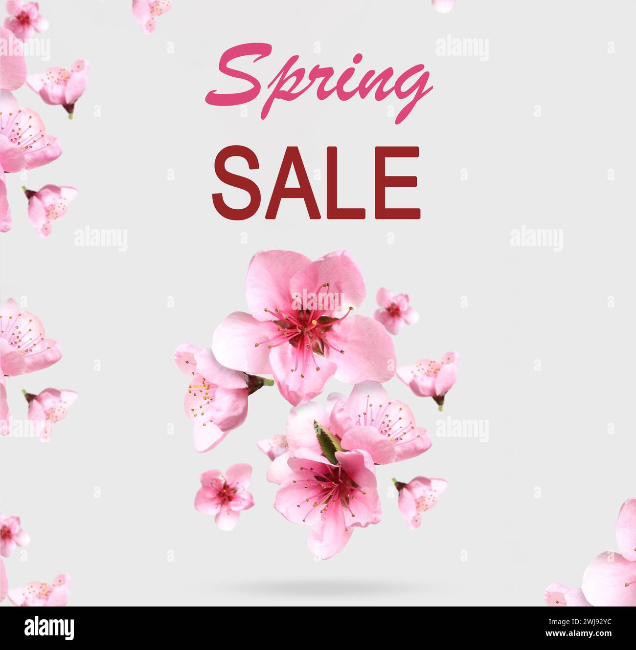 Spring sale flyer design with text and beautiful pink flowers on light ...