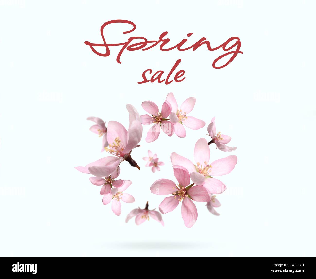 Spring sale flyer design with text and beautiful pink flowers on white ...