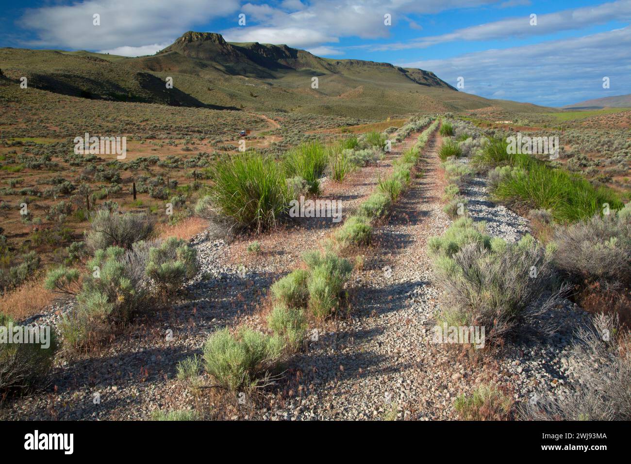 Rail grade, Riverside Wildlife Area, Oregon Stock Photo - Alamy