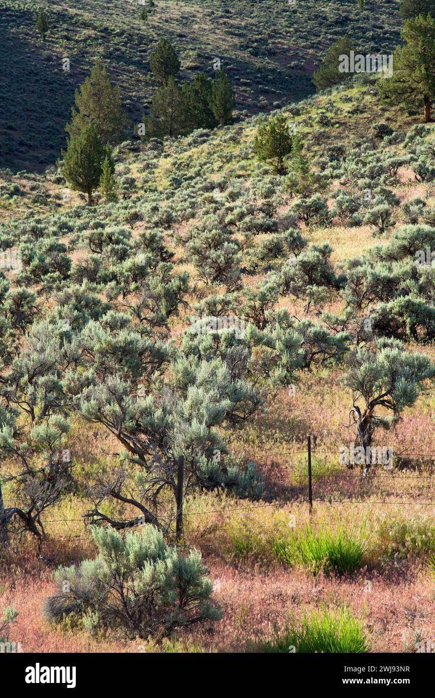 Riverside slope hi-res stock photography and images - Alamy