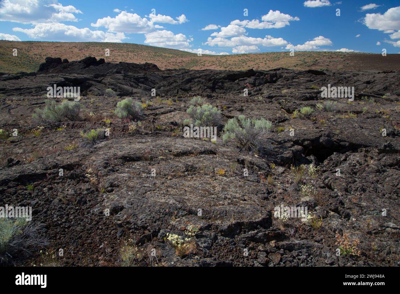Jordan craters wilderness study area hi-res stock photography and ...