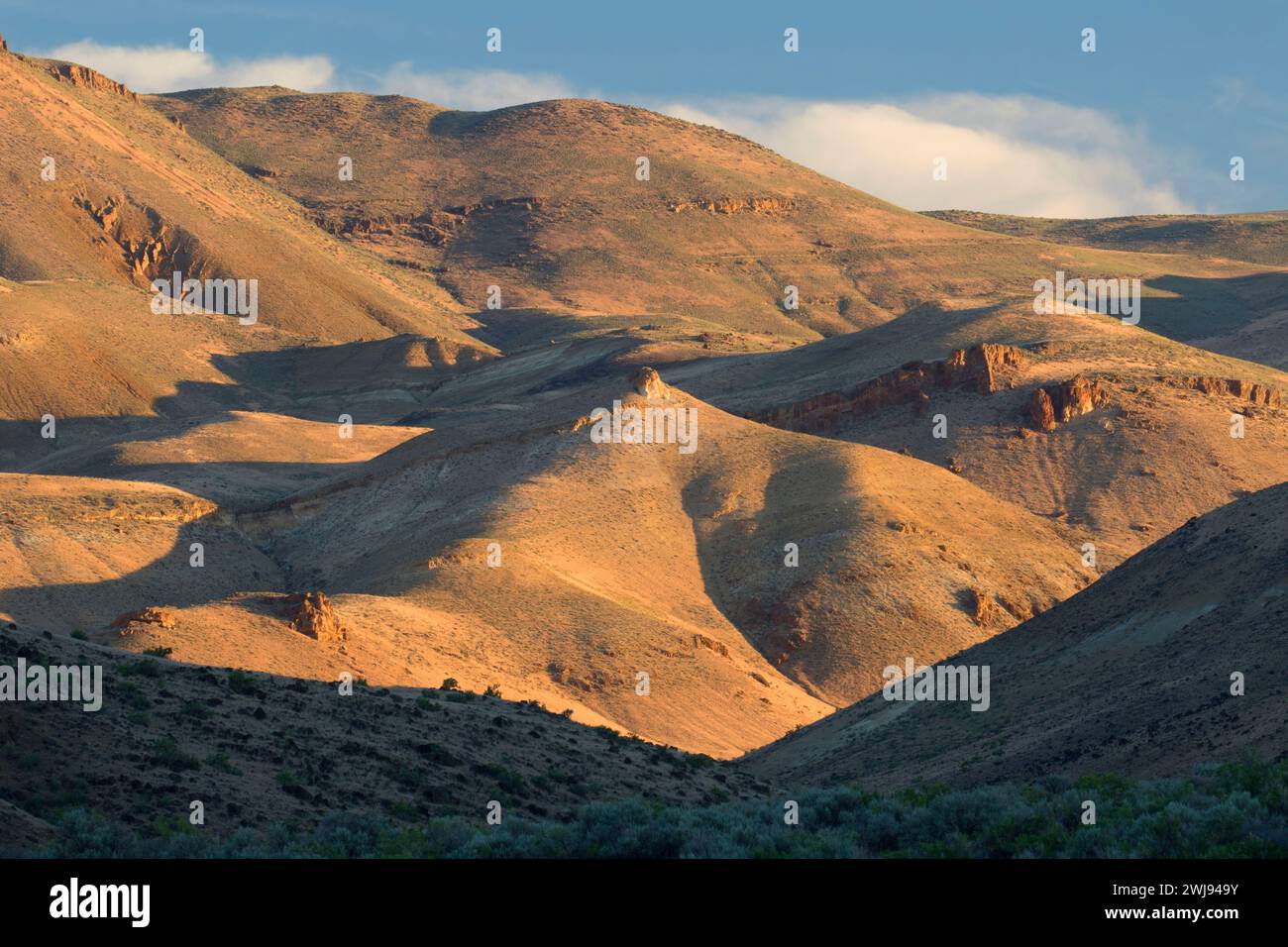 High desert grassland at Birch Creek Ranch, Owyhee Wild and Scenic ...