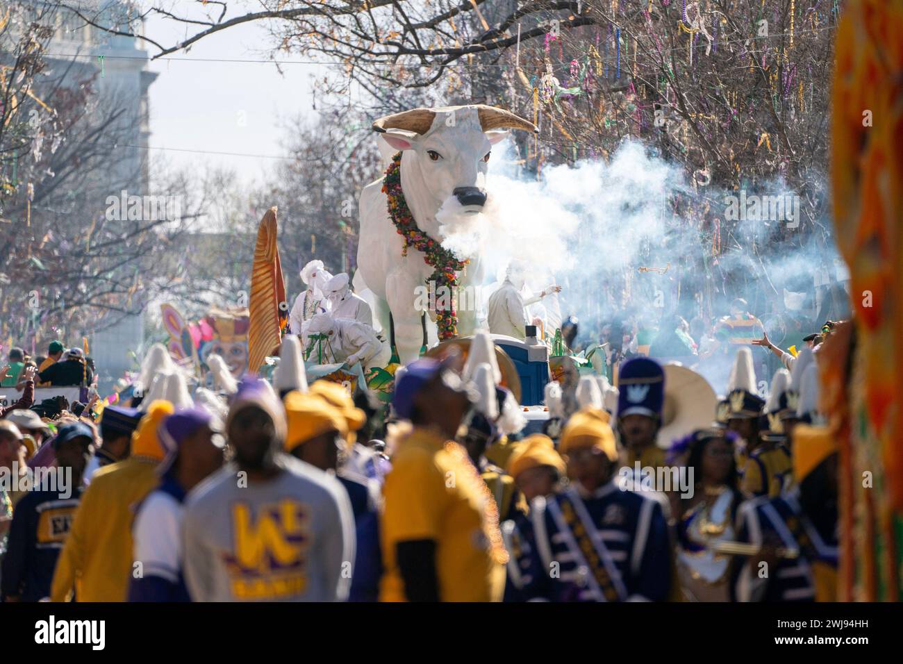 Paradegoers are seen during the Krewe of Rex Mardi Gras Parade in ...