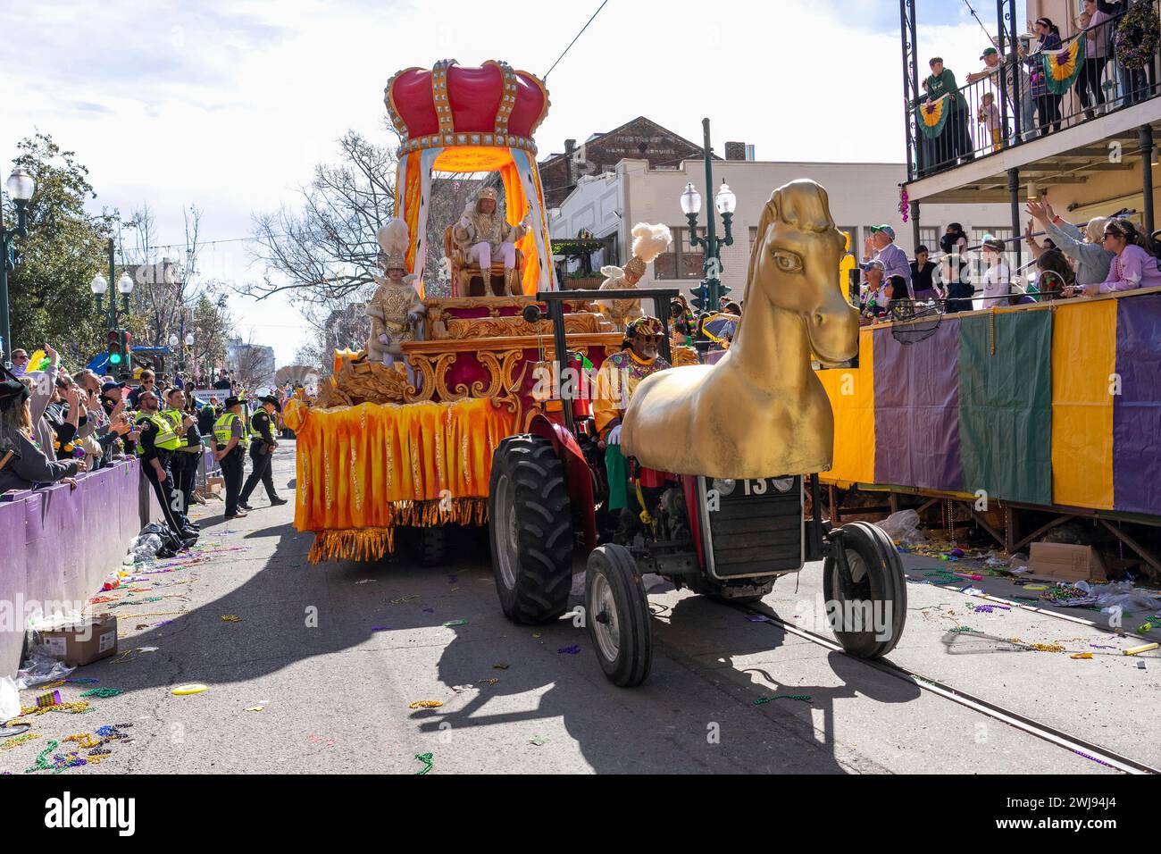 Paradegoers are seen during the Krewe of Rex Mardi Gras Parade in ...