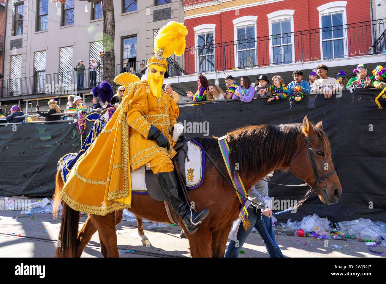 Paradegoers are seen during the Krewe of Rex Mardi Gras Parade in ...