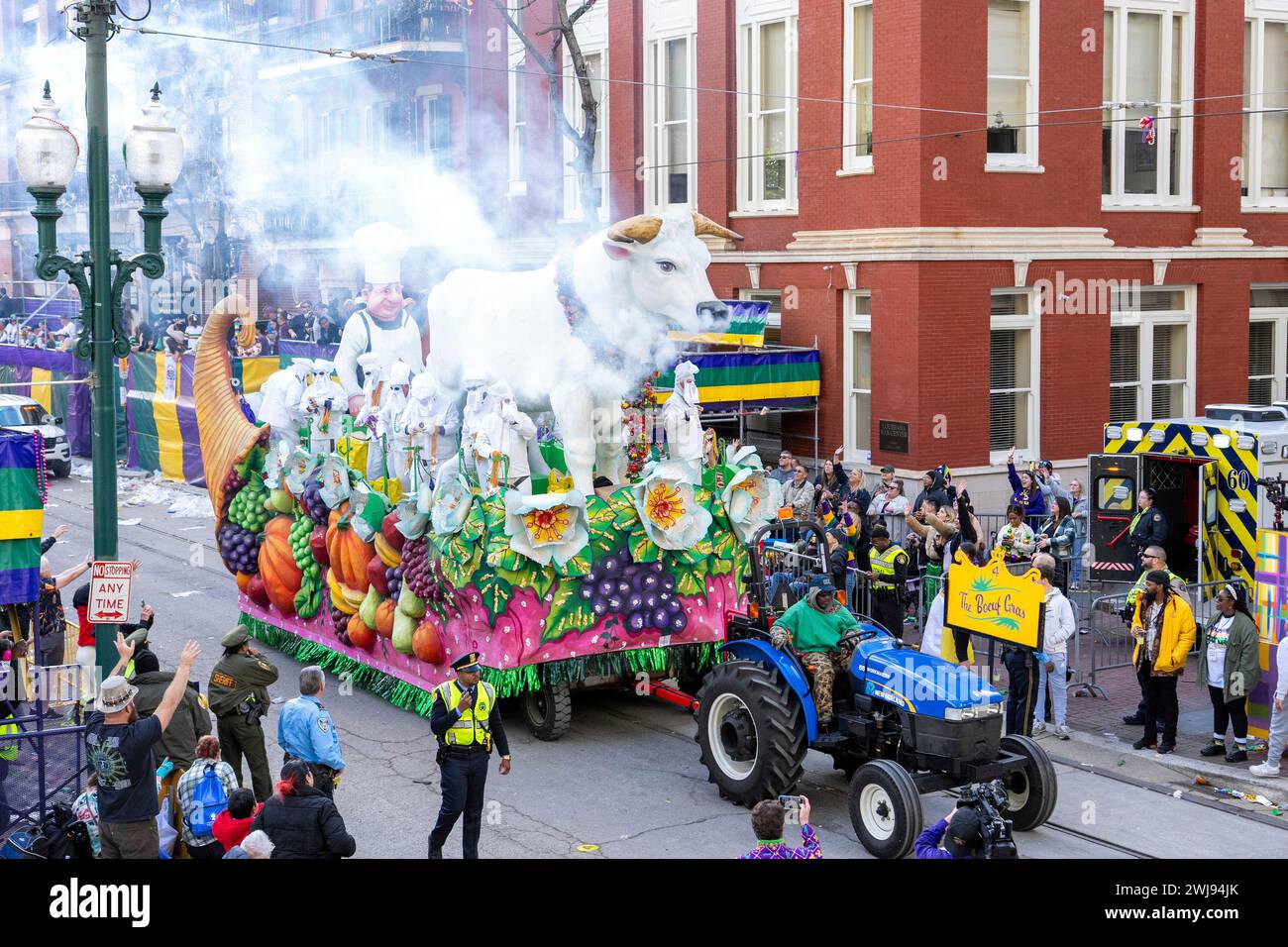 Paradegoers are seen during the Krewe of Rex Mardi Gras Parade in ...