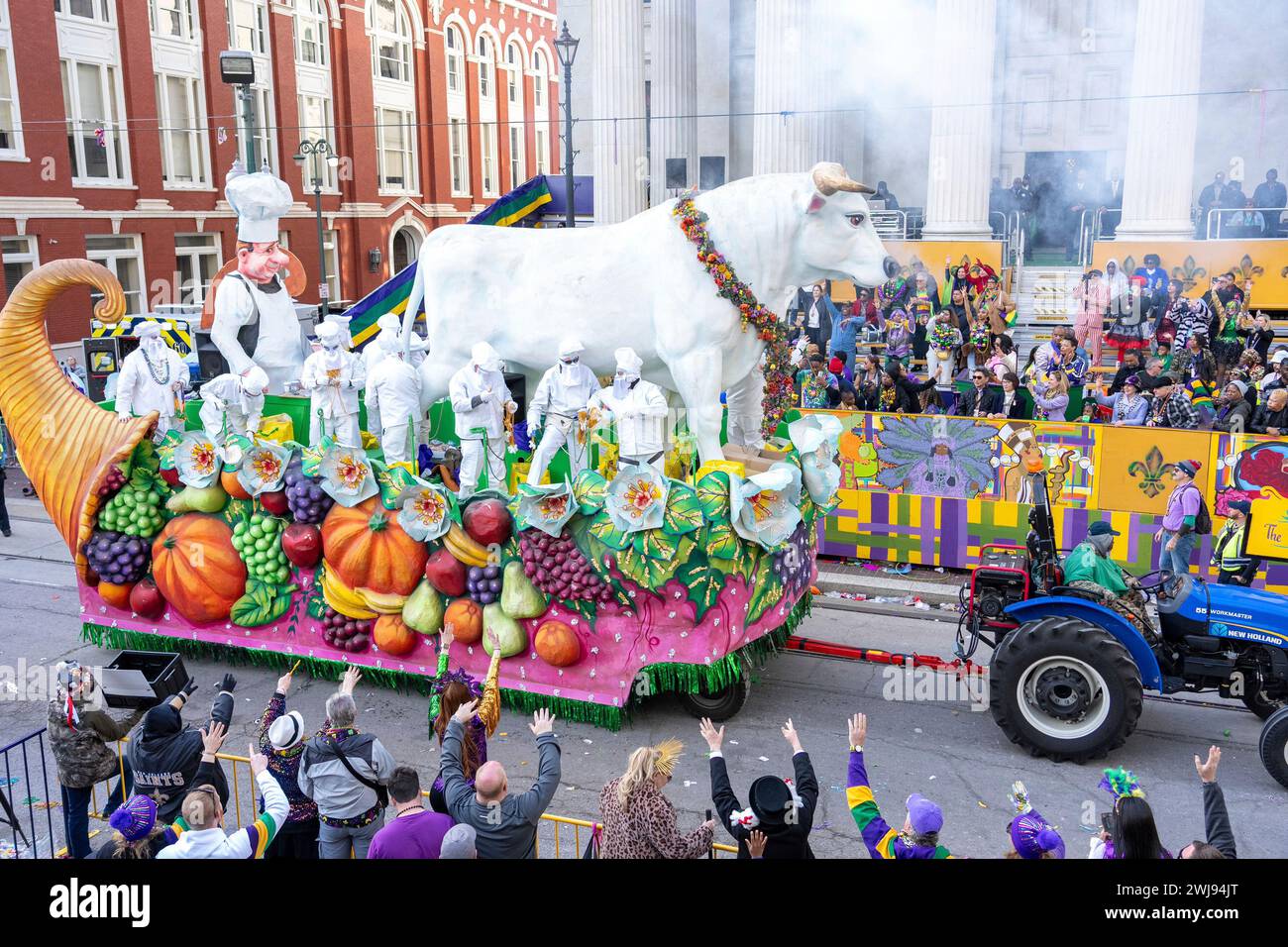 Paradegoers are seen during the Krewe of Rex Mardi Gras Parade in ...