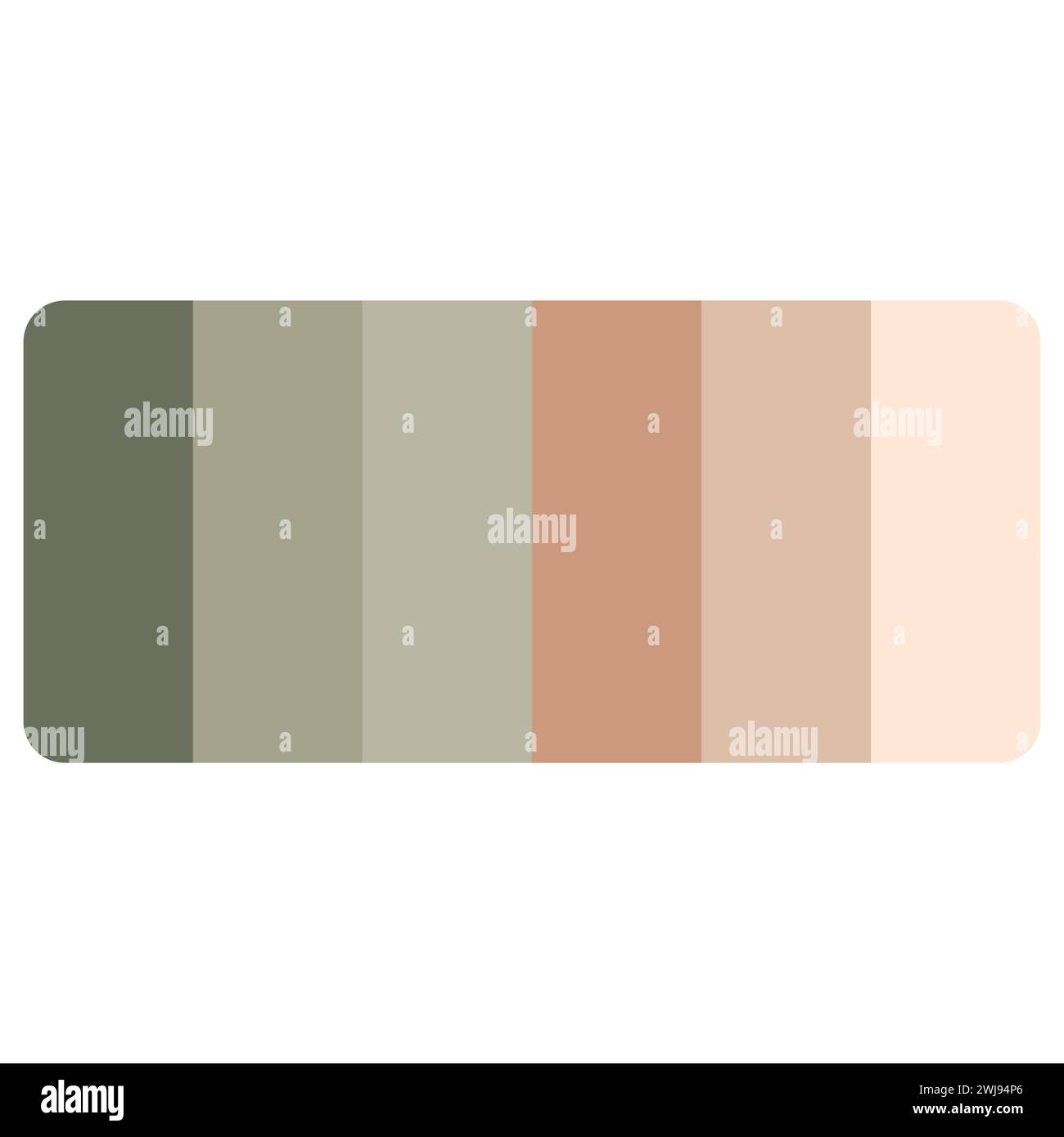 Vector illustration with palette. Color matching color palette. Fashion ...