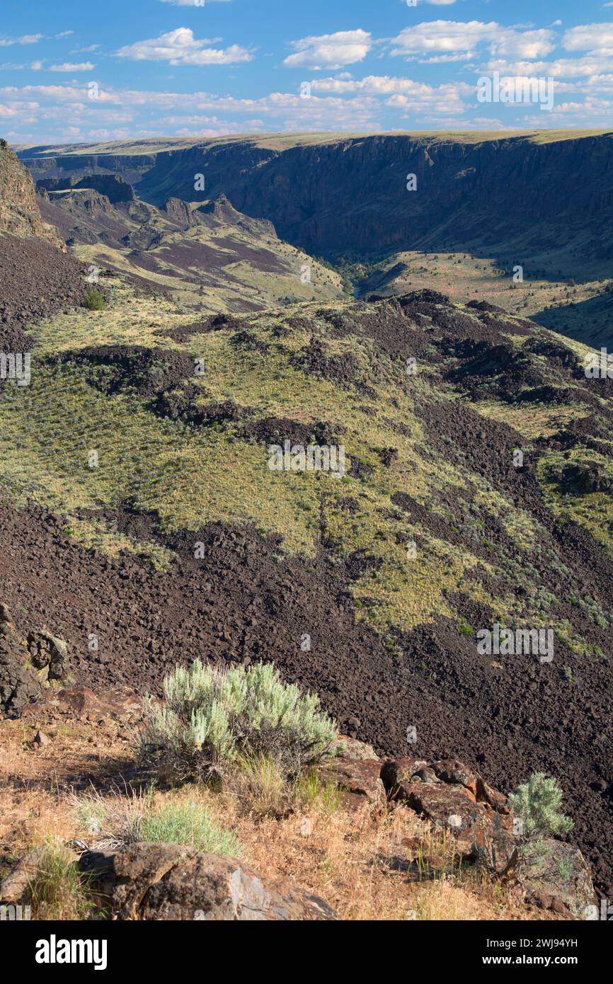 Owyhee Canyon Overlook, Owyhee Wild and Scenic River, Vale District ...