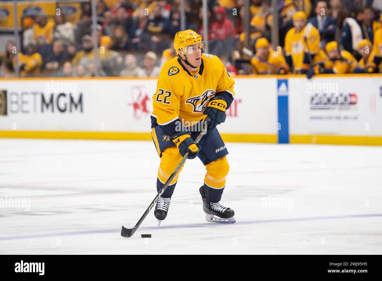 Npstrans hi-res stock photography and images - Alamy