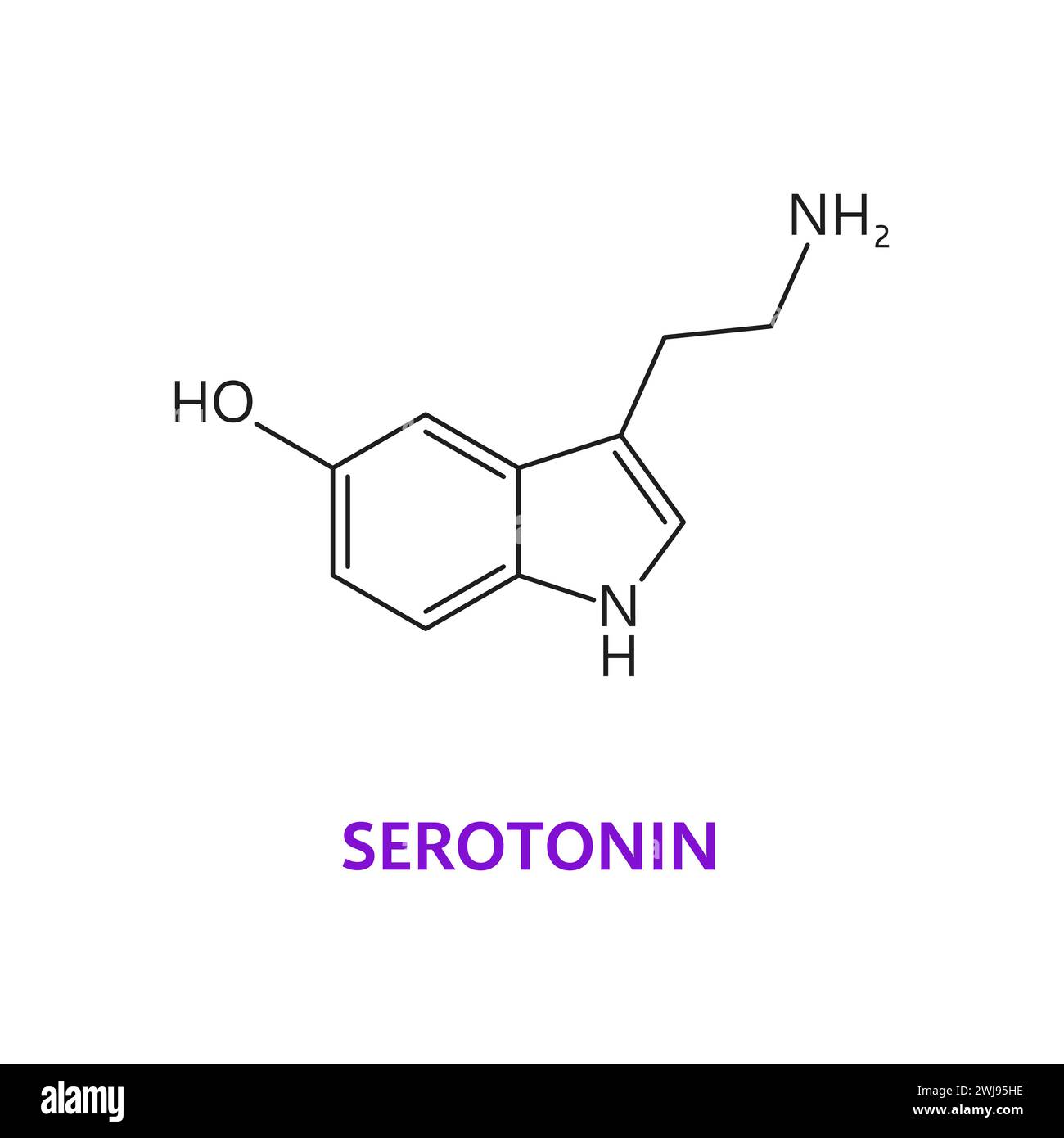 Neurotransmitter, Serotonin chemical formula and molecule, vector ... Neurotransmitter, Serotonin chemical formula and molecule, vector ...