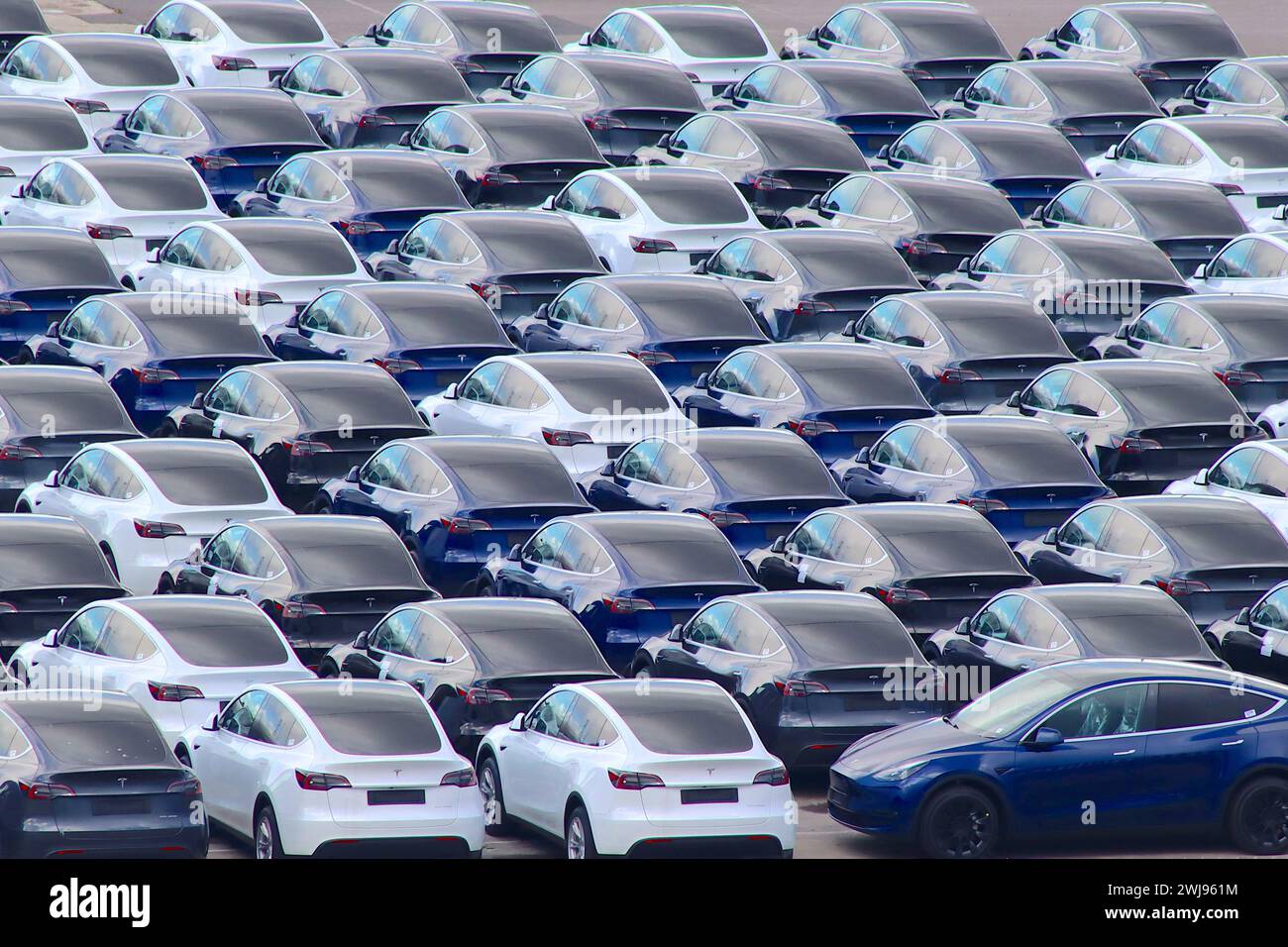 Tesla electric automobiles stored at the dockside await transport and ...