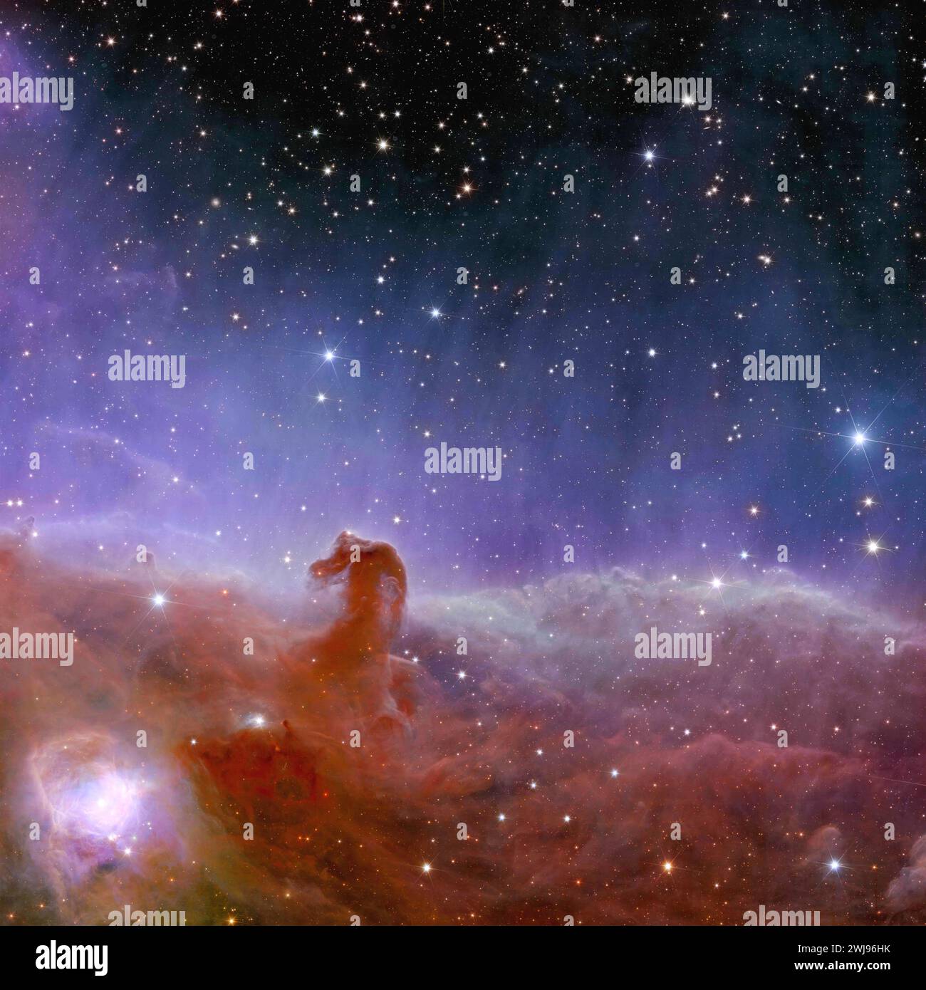 Horsehead Nebula, Euclid image Stock Photo - Alamy
