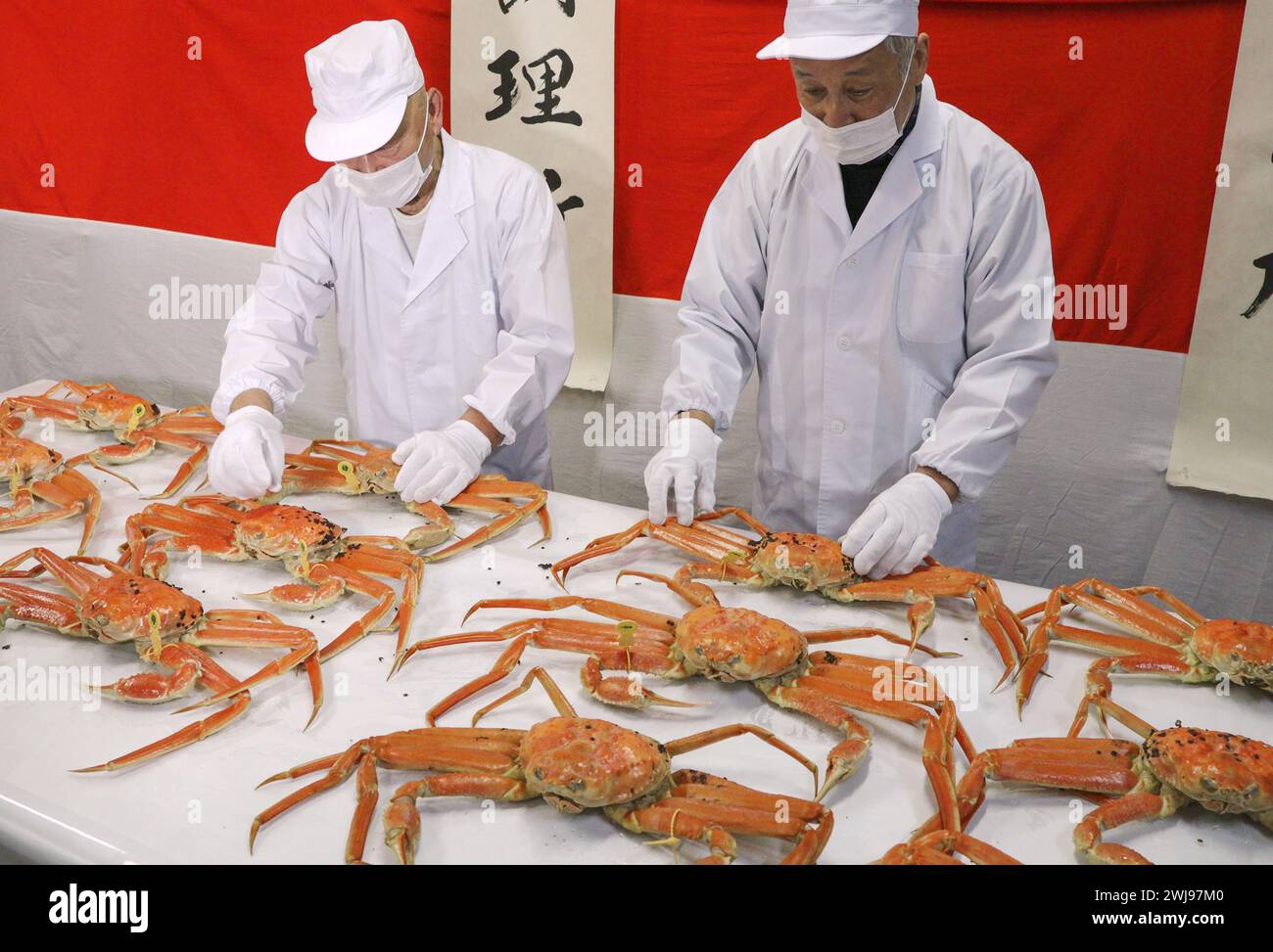 Photo taken on Feb. 13, 2024, in Sakai in Fukui Prefecture, central ...