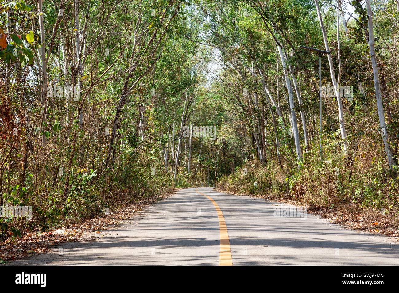 Beautiful nature in northern hi-res stock photography and images - Alamy