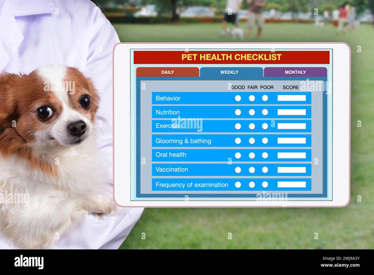 Veterinary holding little dog and digital tablet showing pet health ...