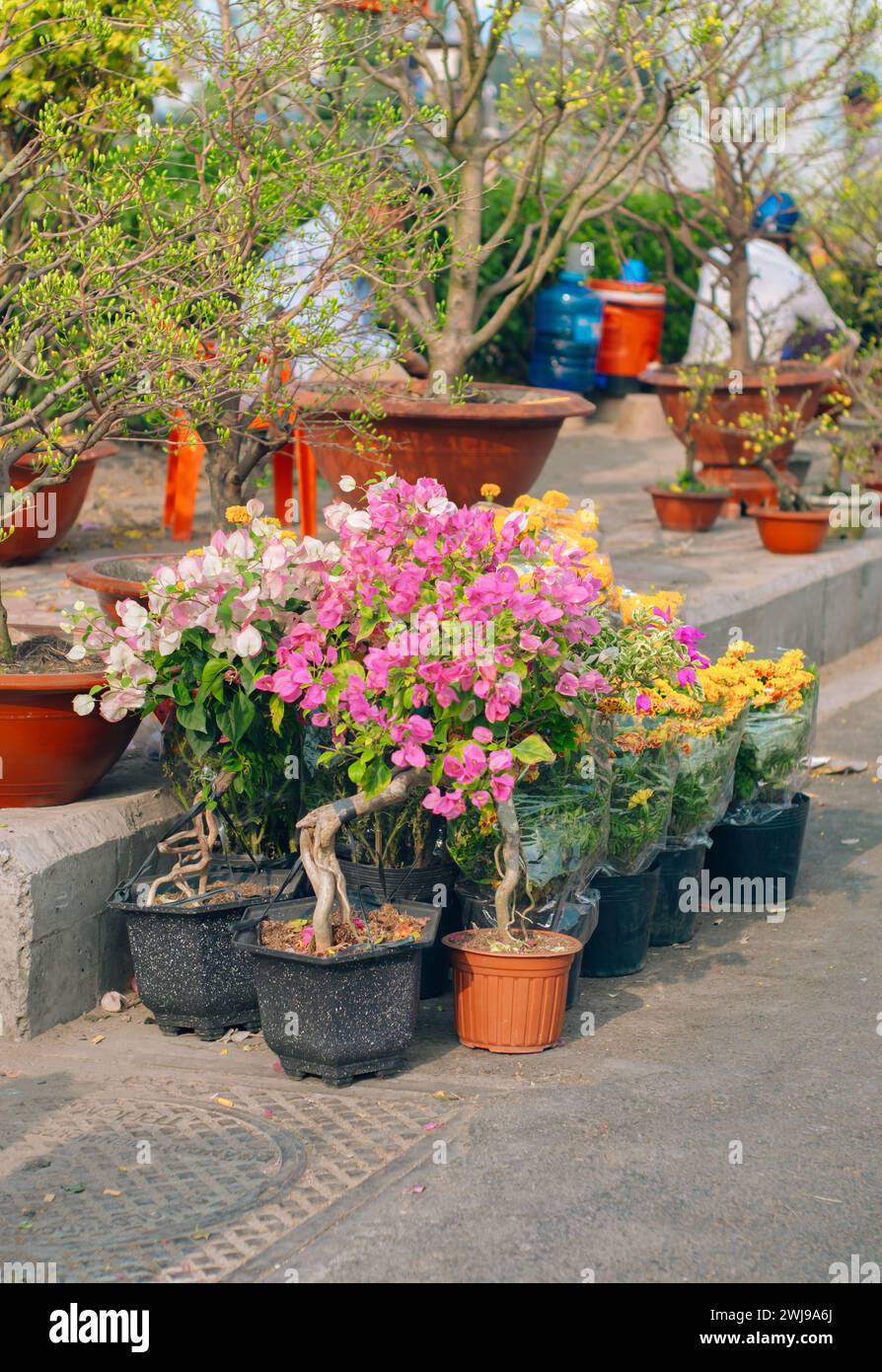 Tet viet nam hi-res stock photography and images - Alamy