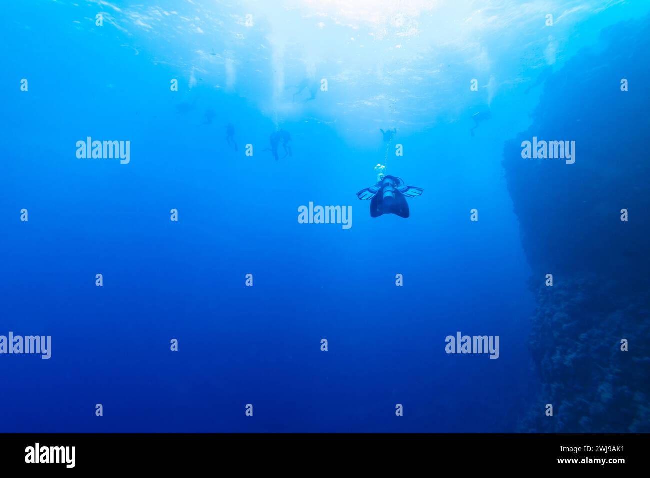 Scuba diver swims and fins through clear blue water along a coral reef ...
