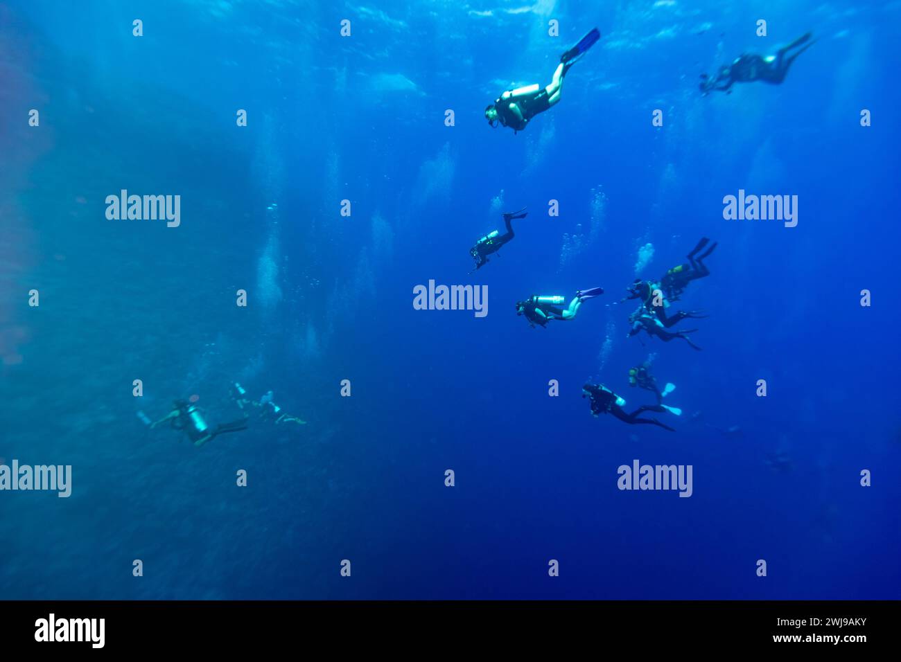 Group of a dozen Scuba divers swim in the deep blue ocean approaching a ...