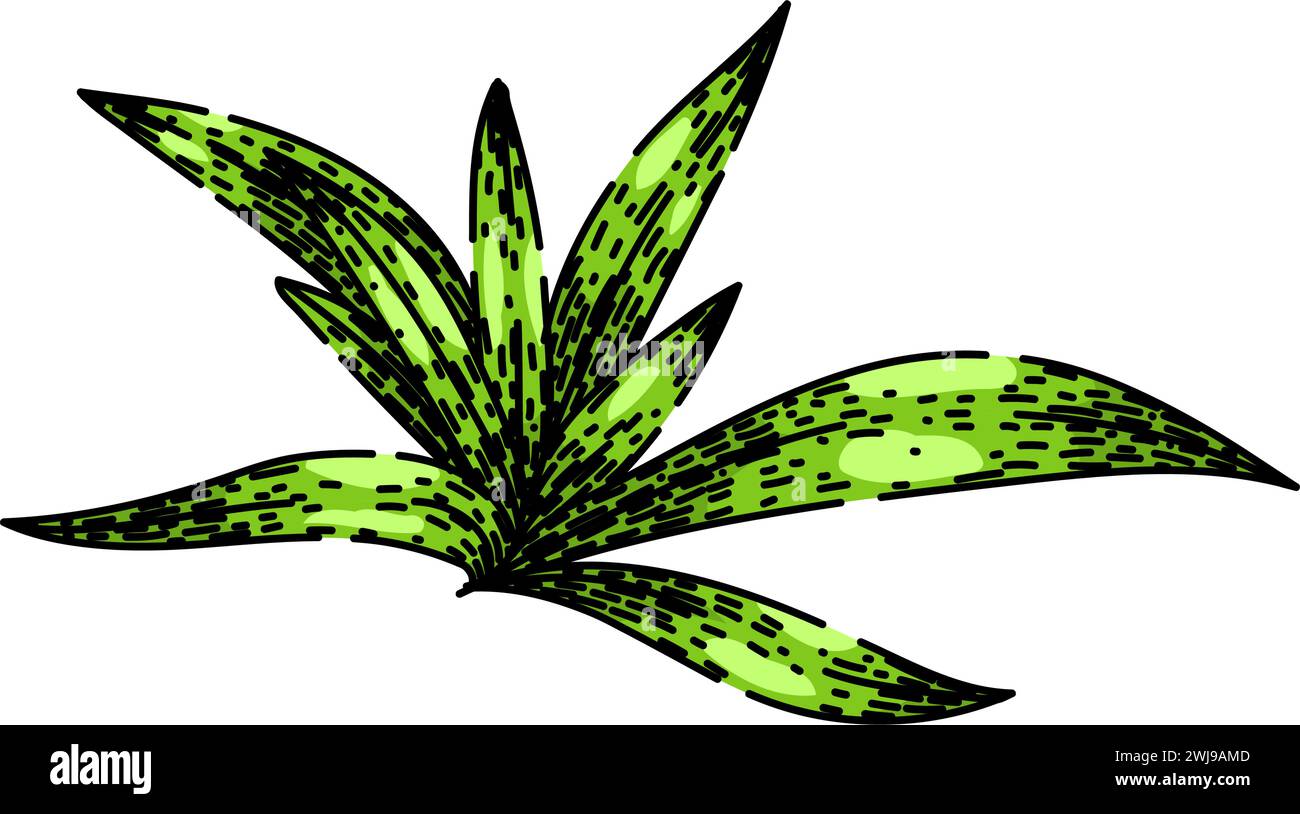 food savory sketch hand drawn vector Stock Vector Image & Art - Alamy