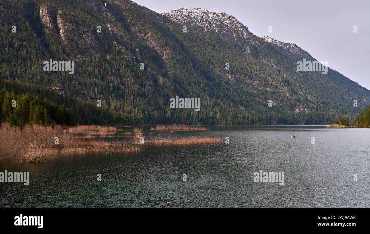 View of Buttle Lake from the bridge at the end of the lake with snow ...