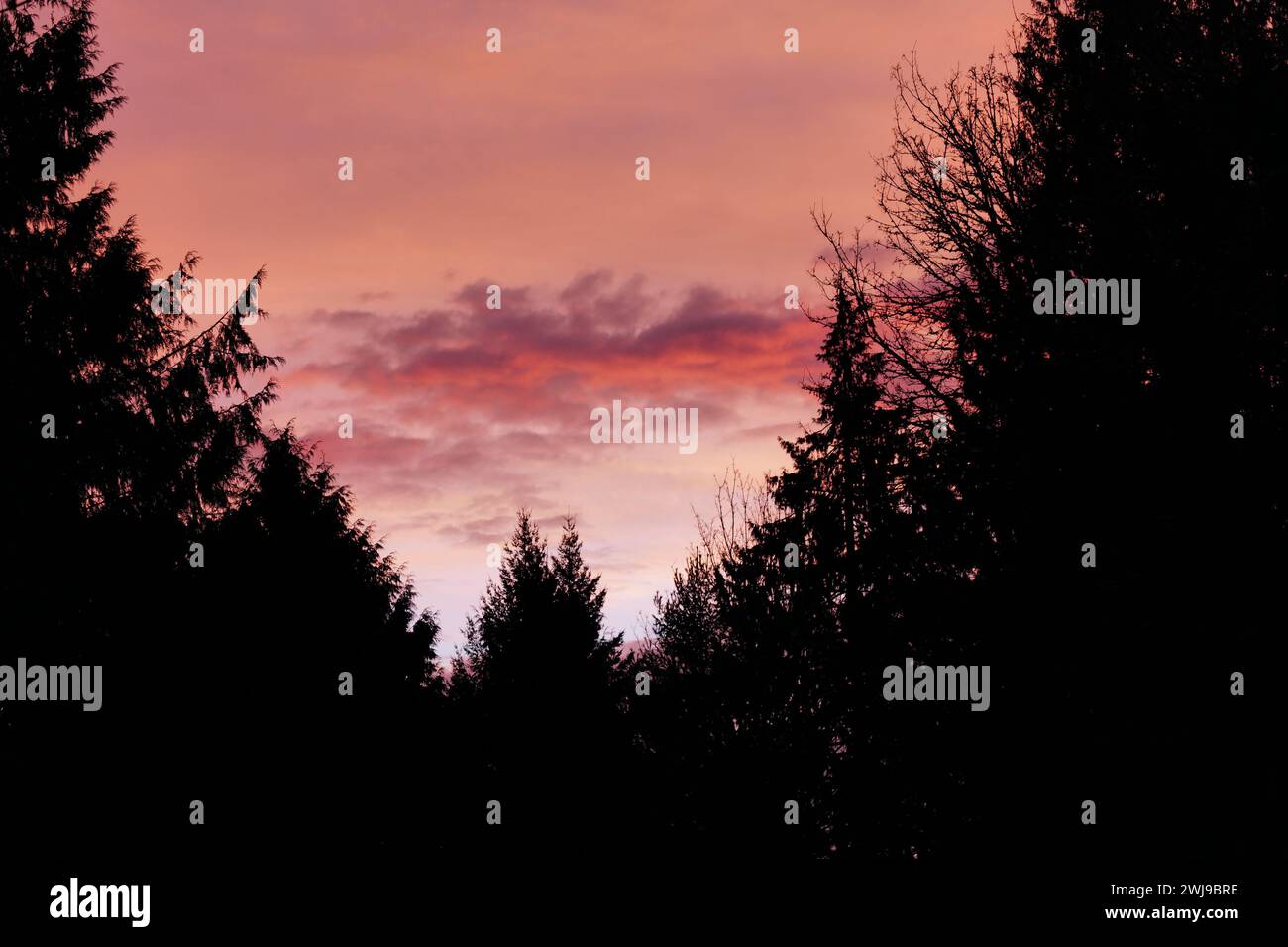 Around Seattle, Washington in the PNW (home to the Space Needle, Amazon ...