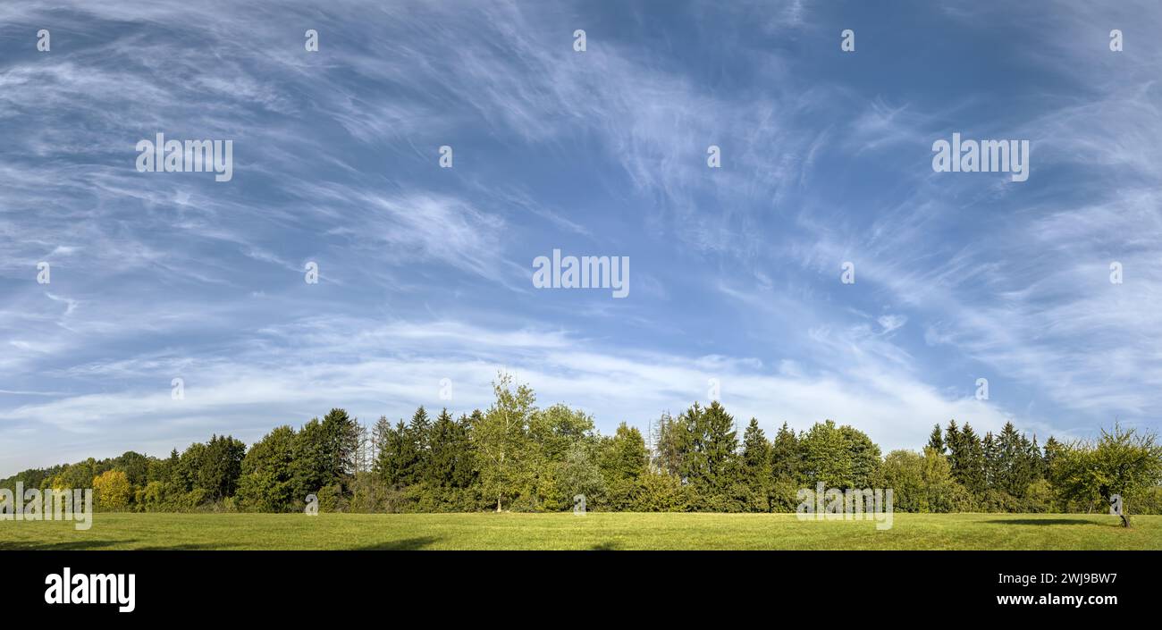 wide green grass field, trees and forest under picturesque cloudy sky ...